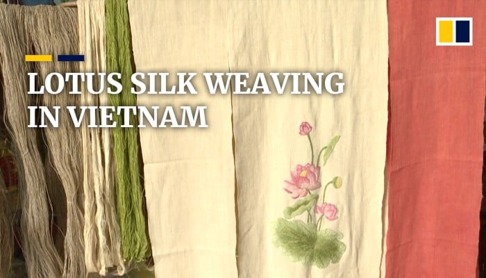 Lotus stems processed into fashionable ‘silk’ fabric by Vietnamese ...