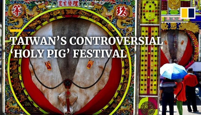Taiwan’s controversial ‘holy pig’ festival goes on despite cruelty ...