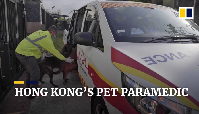Ex-lifeguard becomes pet paramedic offering care he was unable to find ...