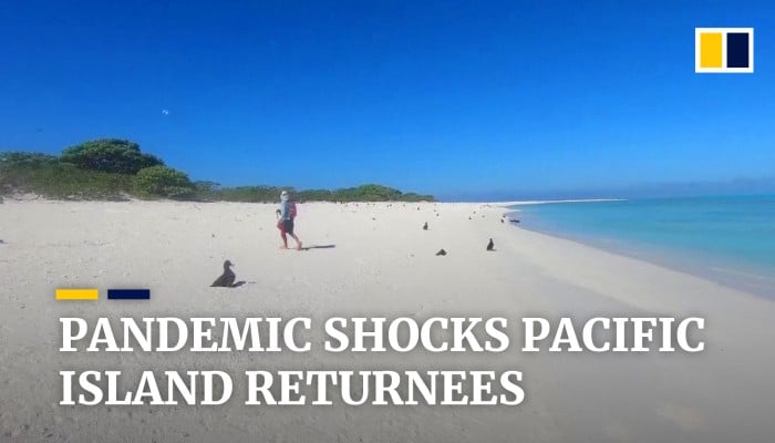 Coronavirus: conservationists shocked by return from secluded island to ...