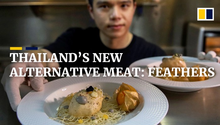 Thailand's new alternative meat: feathers | South China Morning Post