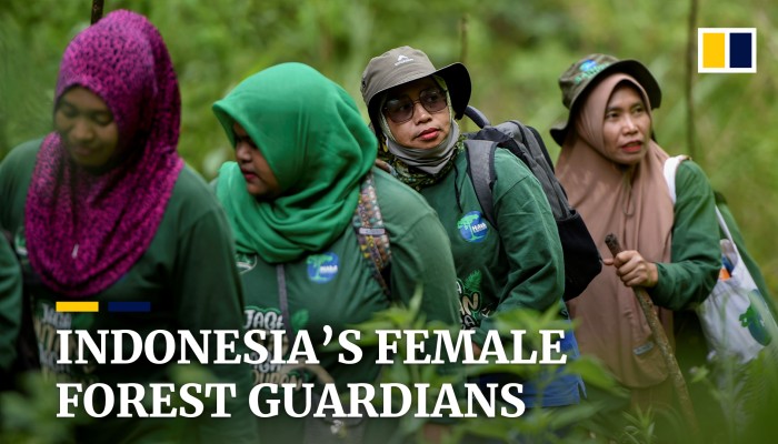 Indonesia’s female forest guardians fight illegal poaching, logging and ...