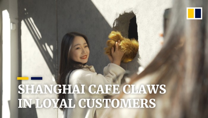 Shanghai’s ‘hole in the wall’ cafe uses novel bear claw mitt to become ...