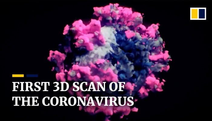 First 3D scan of the real coronavirus revealed | South China Morning Post