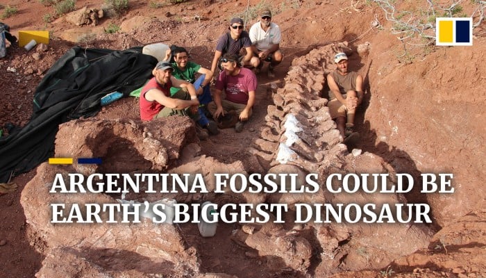 Dinosaur fossils found in Argentina could be from largest creature to ...