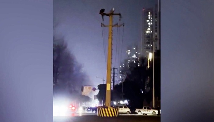 Chinese man causes outage after doing sit-ups atop power pole | South ...