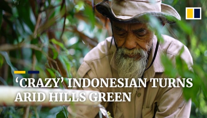 Indonesian ‘madman’ turns barren hills green by planting 11,000 trees ...
