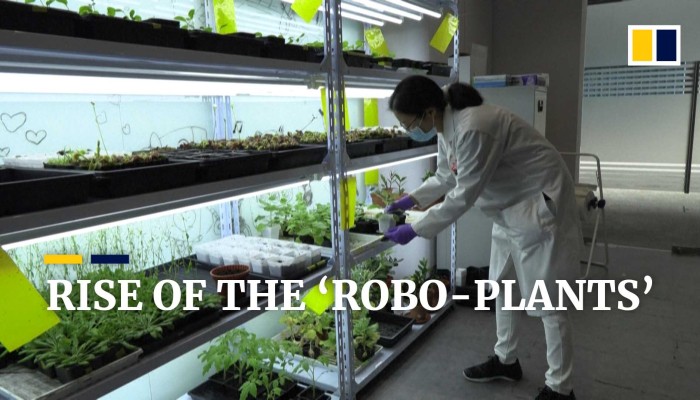 Singapore’s ‘robo-plants’ fuse nature with tech to help farmers detect ...