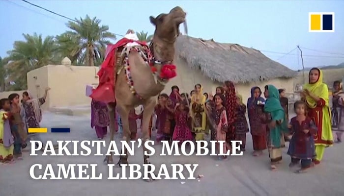 Camel delivers books to Pakistan’s desert children amid Covid school ...