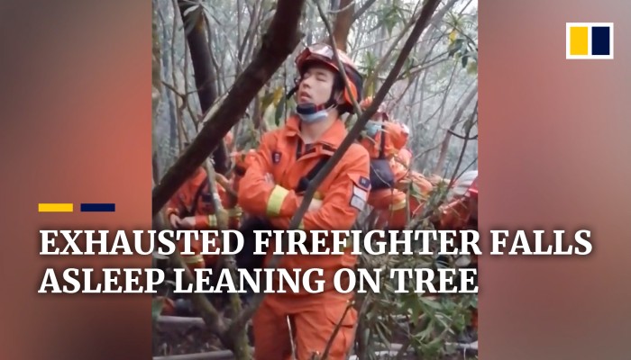 Firefighter falls asleep while leaning on tree after battling forest ...