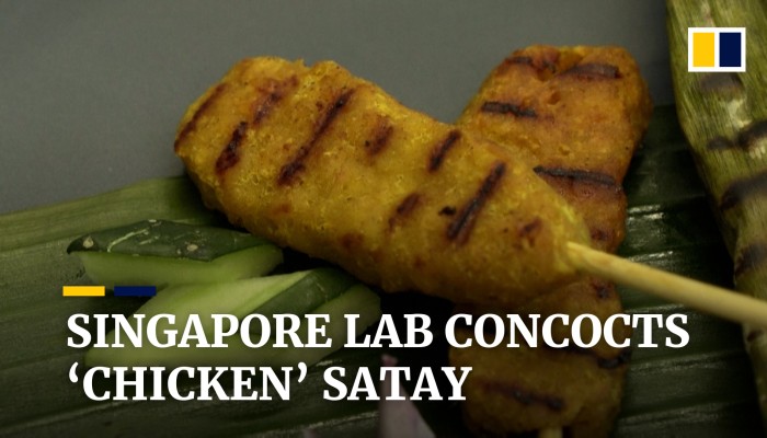 Plant-based ‘chicken’ satay created in Singapore lab | South China ...