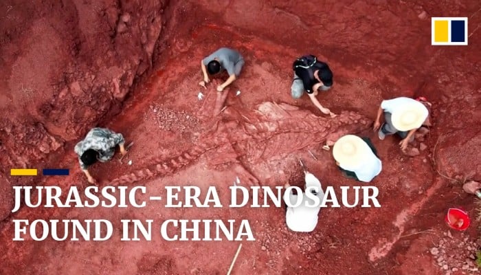 180 Million Year Old Nearly Intact Dinosaur Fossil Unearthed In China