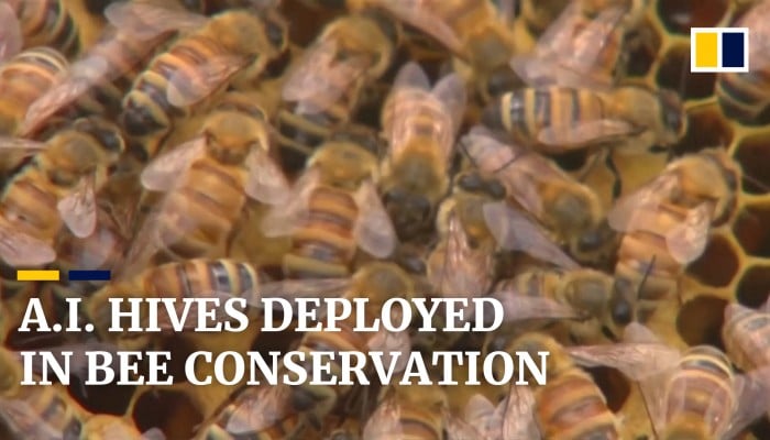 Robotic beehives use artificial intelligence to save bee colonies with ...