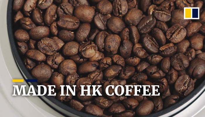 Reviving a remote Hong Kong village through growing coffee | South ...