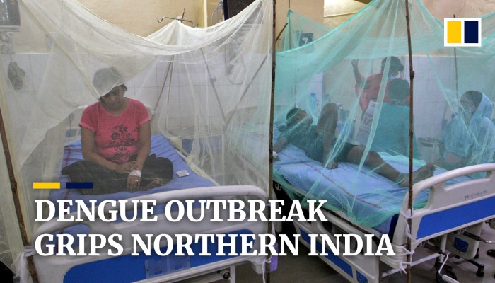 India’s worst dengue fever outbreak in years strikes northern state of ...