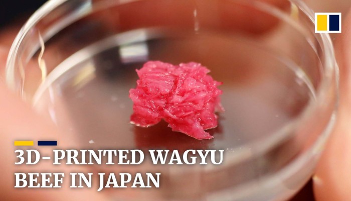 Scientists in Japan create 3D-printed Wagyu beef | South China Morning Post