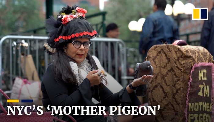 ‘Mother Pigeon’ on mission to change New Yorkers’ perception of the ...