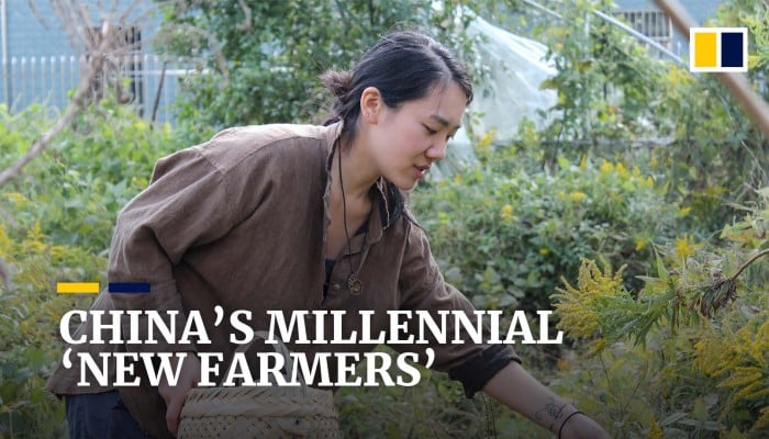 Millions of Chinese millennials become ‘new farmers’ to look for the ...