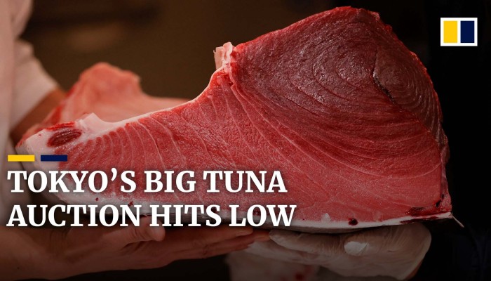 Prized bluefin tuna fetches a meagre US$146,000 at Tokyo auction ...