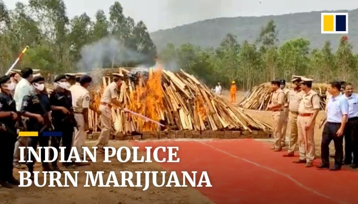 Police in India burn 200 tonnes of marijuana | South China Morning Post