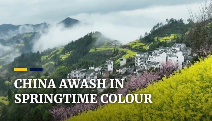 Flowers bloom across China as spring arrives | South China Morning Post