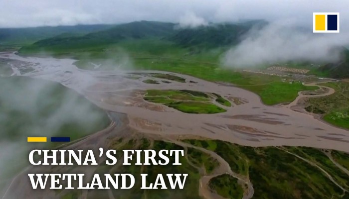 China’s first wetland protection law goes into effect | South China ...