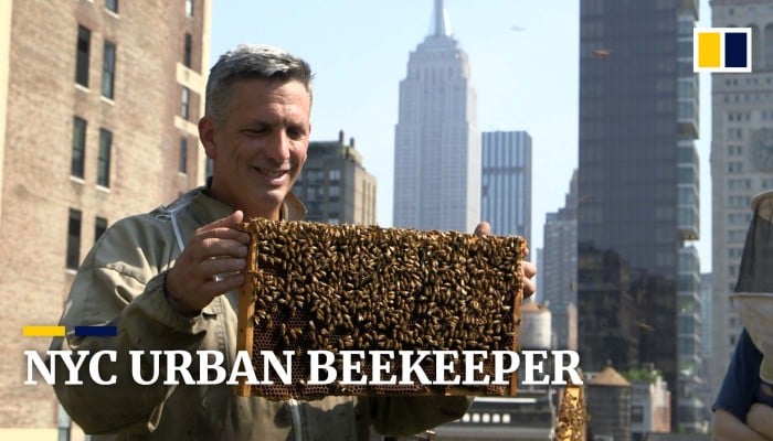 Meet the man with over 100 beehives in the heart of New York City ...
