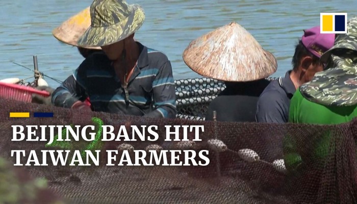 Taiwan farmers feel the squeeze as mainland China import bans following ...