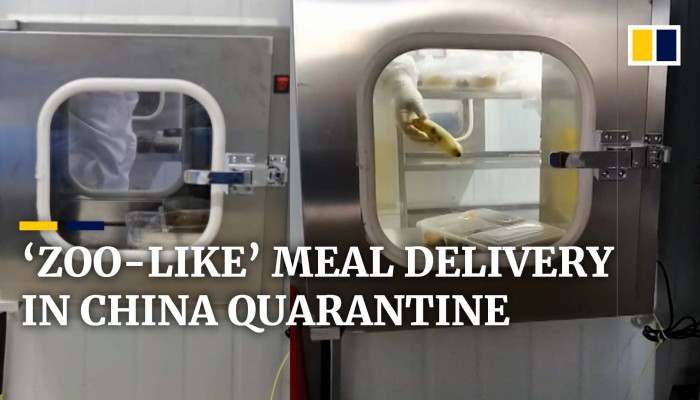 ‘Like a zoo’: Chinese woman’s quarantine meal delivery gets social ...