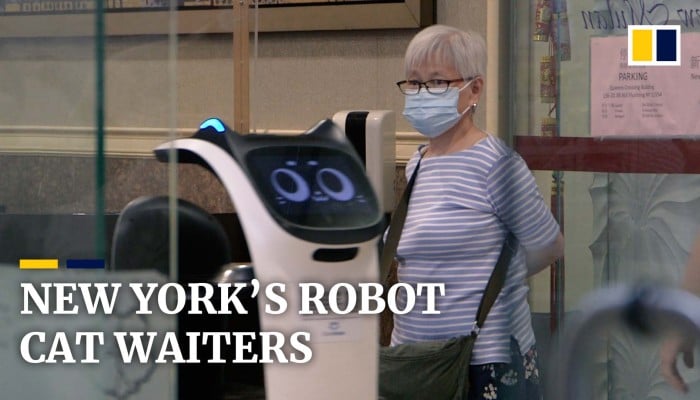 Robot cats to the rescue: short-staffed New York restaurants use China ...