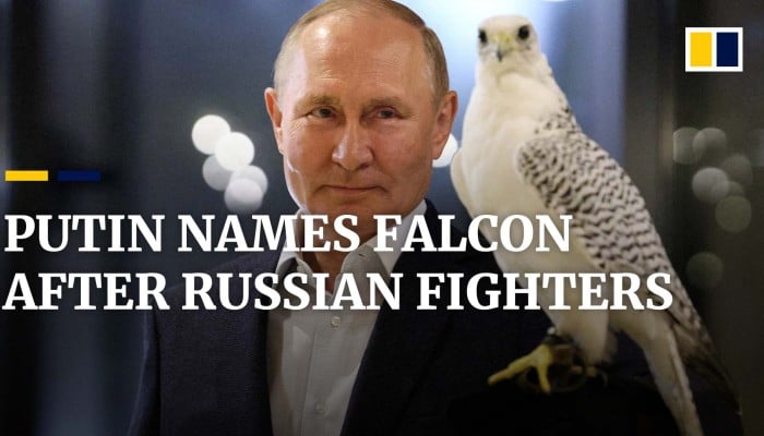 Putin names falcon after Russian crack team fighting in Ukraine during ...