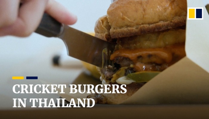 Thai pop-up wins fans with cricket burgers | South China Morning Post