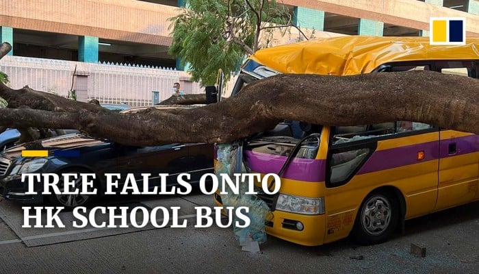 Tree crashes onto school bus in Hong Kong, passengers narrowly escape ...