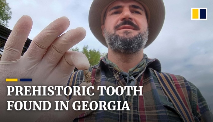Archaeologists in Georgia discover human tooth from 1.8 million years ...