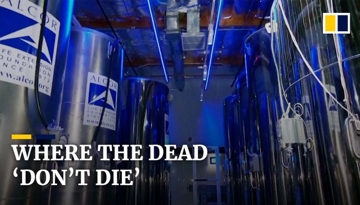‘Bring them back to life’: inside the US company preserving the dead to ...