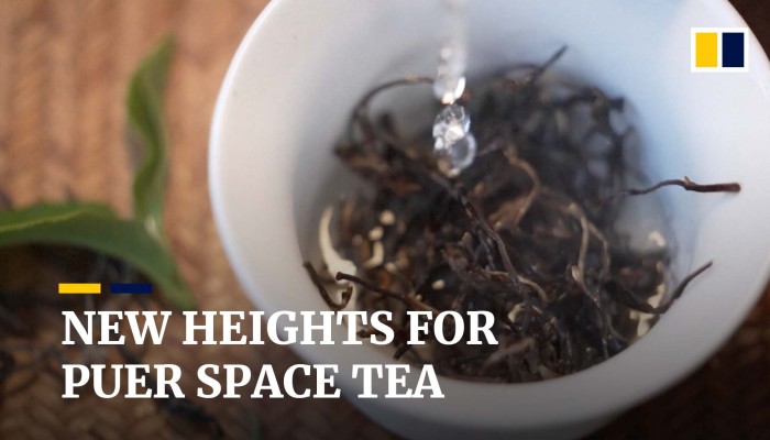 Popular Chinese Puer tea returns from space even better than before ...