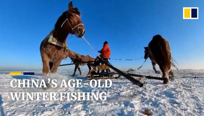 A centuries-old fishing technique is helping Chinese fisherfolk catch ...