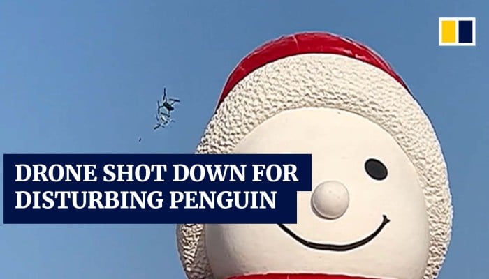 Drone shot down for disturbing penguin in China | South China Morning Post