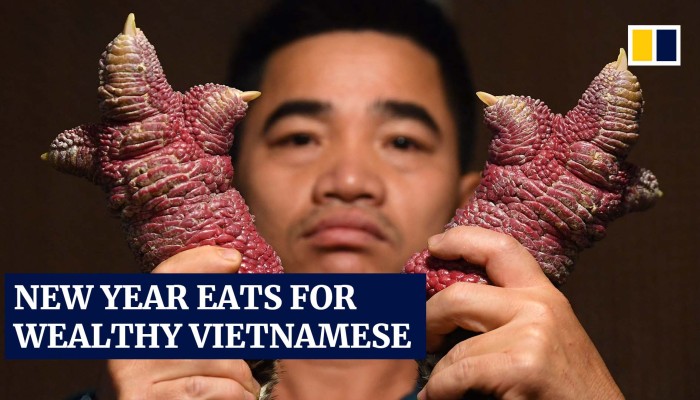 ‘Dragon chicken’ claws a Lunar New Year delicacy for Vietnam’s wealthy ...