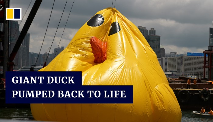 Swooning duck pumped back to life in Hong Kong’s Victoria Harbour | South China Morning Post