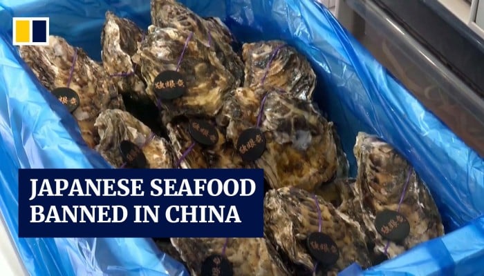 China imposes ban on Japanese seafood over Fukushima water release plan ...
