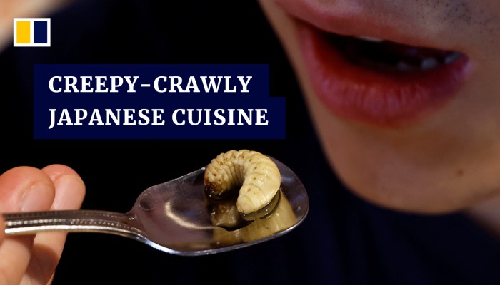Insect cuisine gains popularity in Japan, echoing pre-WWII past | South ... Insect cuisine gains popularity in Japan, echoing pre-WWII past | South ...