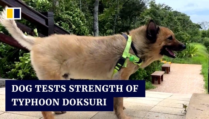 Super typhoon Doksuri batters Taiwan on its way to China’s southeast ...