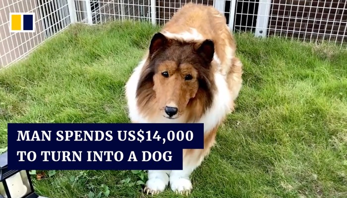 Japanese man spends US$14,000 to turn himself into a dog | South China ...