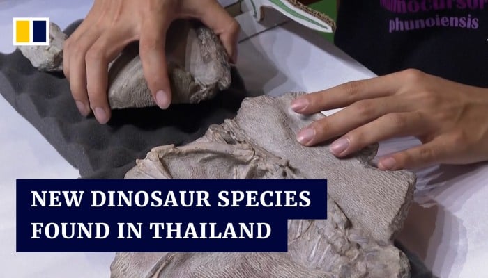 Fossil of a new dinosaur species discovered in Thailand | South China Morning Post