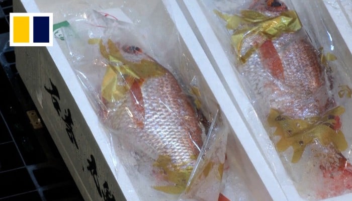 Japan tests Fukushima fish daily to quell safety concerns | South China ...
