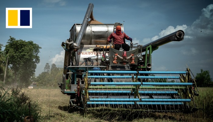 Indebted Thai farmers eye golden opportunity as price of rice rises ...