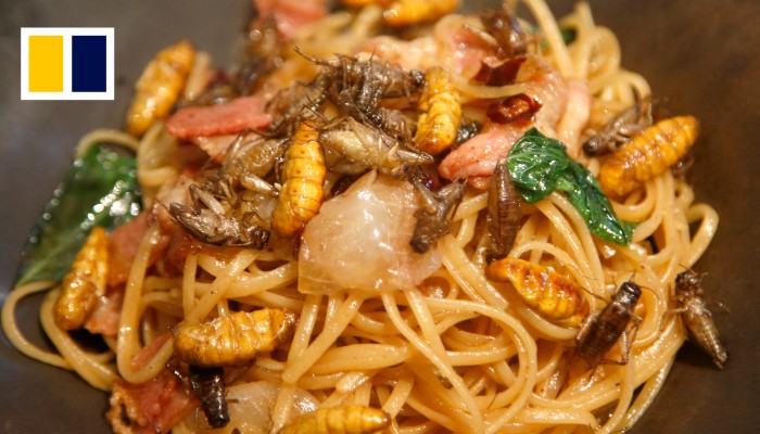 Insects Swarm Menu At London Bug Based Restaurant South China Morning Post