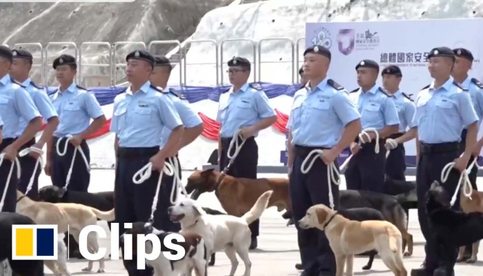 Police skills on display ahead of National Security Education Day ... Police skills on display ahead of National Security Education Day ...