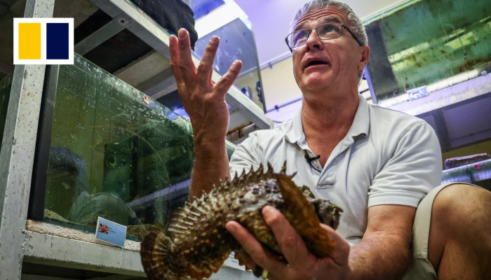 Meet the team milking venomous sea creatures to create life-saving ...